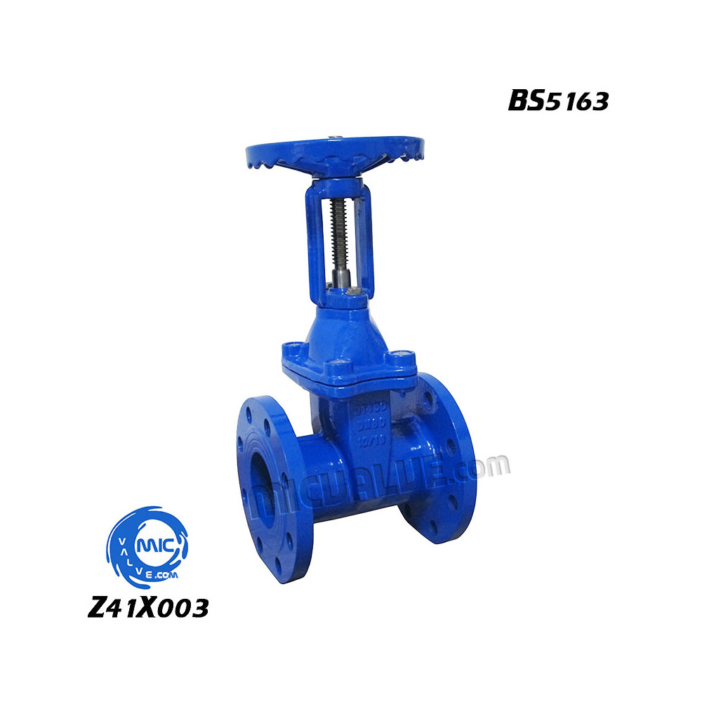 Z41X003 - MIC VALVE YOU CAN TRUST