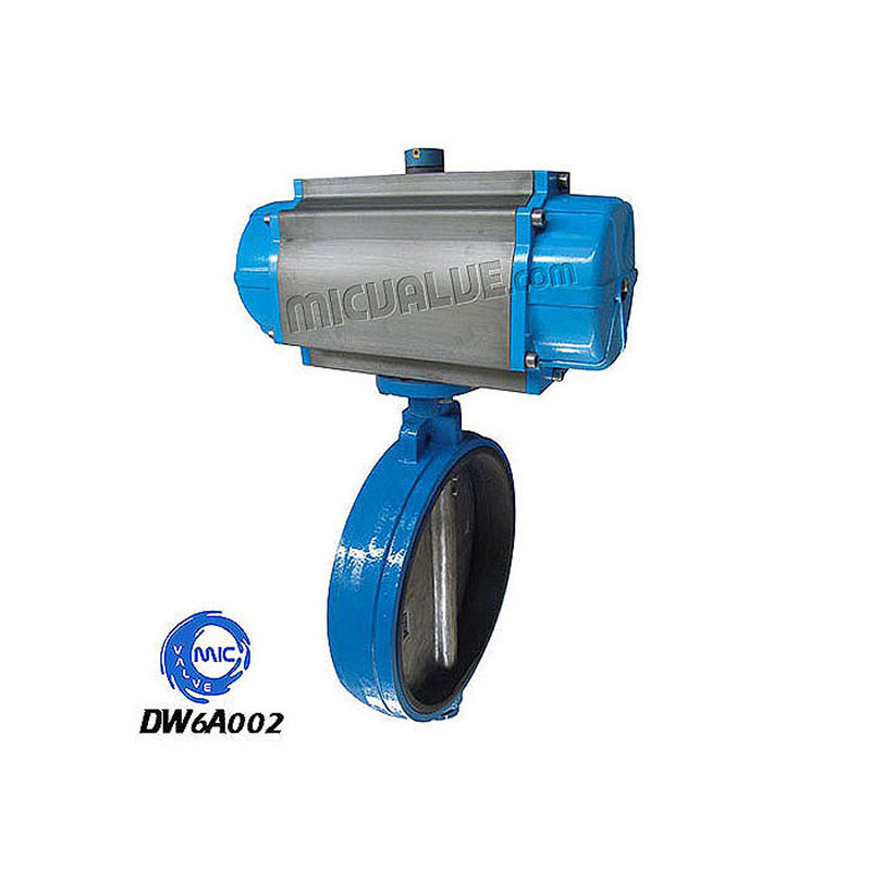 DW6A001 - MIC VALVE YOU CAN TRUST